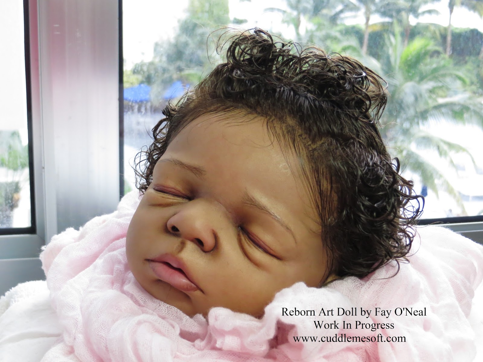 My life & adventures in reborning Cuddle Me Soft Reborn Nursery: New ...