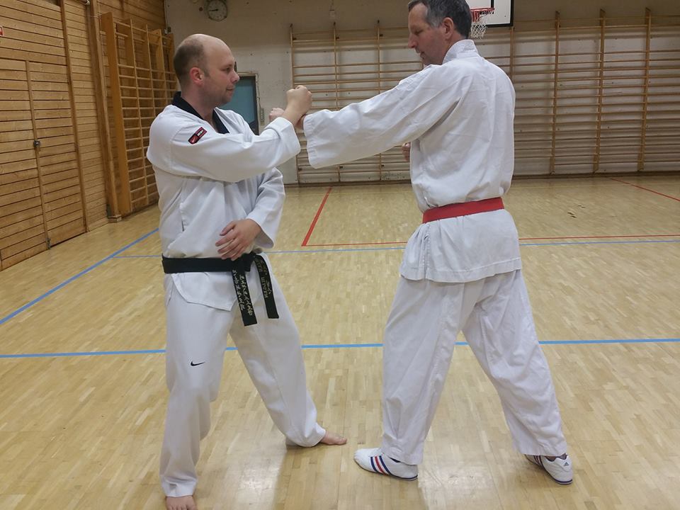 Traditional Taekwondo Ramblings: Taekwondo "Blocks"