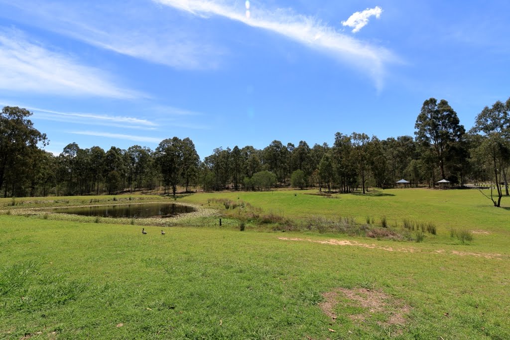 National Park Odyssey: Harding's Paddock, QLD.