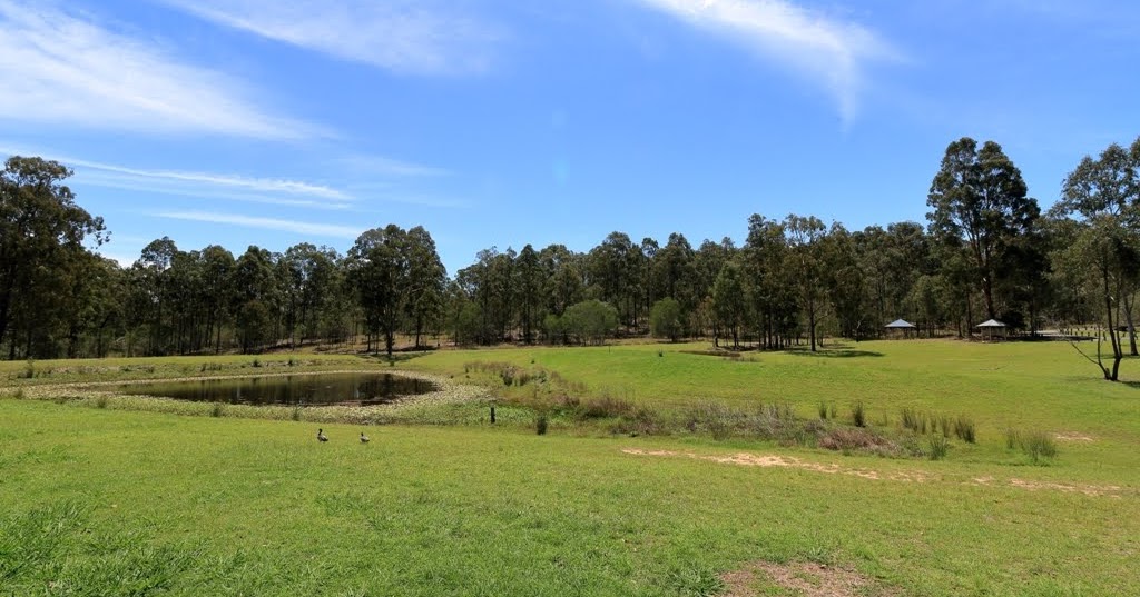 National Park Odyssey: Harding's Paddock, QLD.