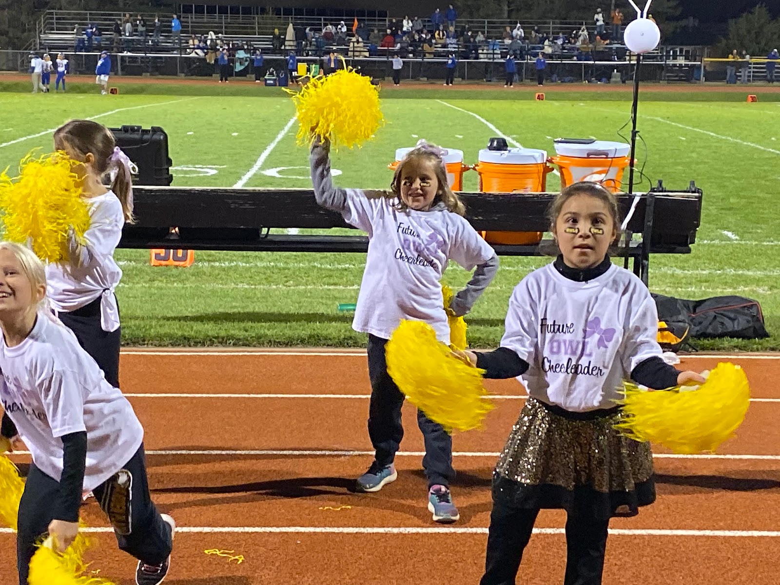 Our Family: Mini Cheer 2019