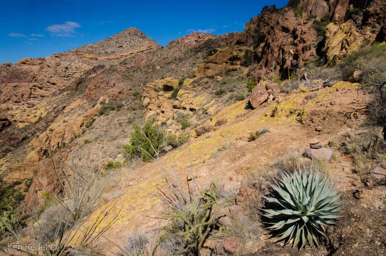 The Adventures of Ken: Mount Ajo - Organ Pipe Cactus National Monument