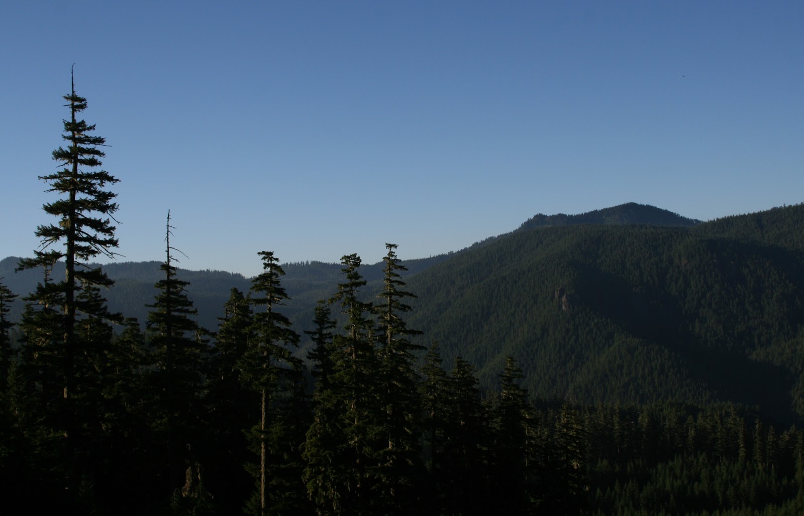 Ronald Borst Journalism: Fishing With Alexa