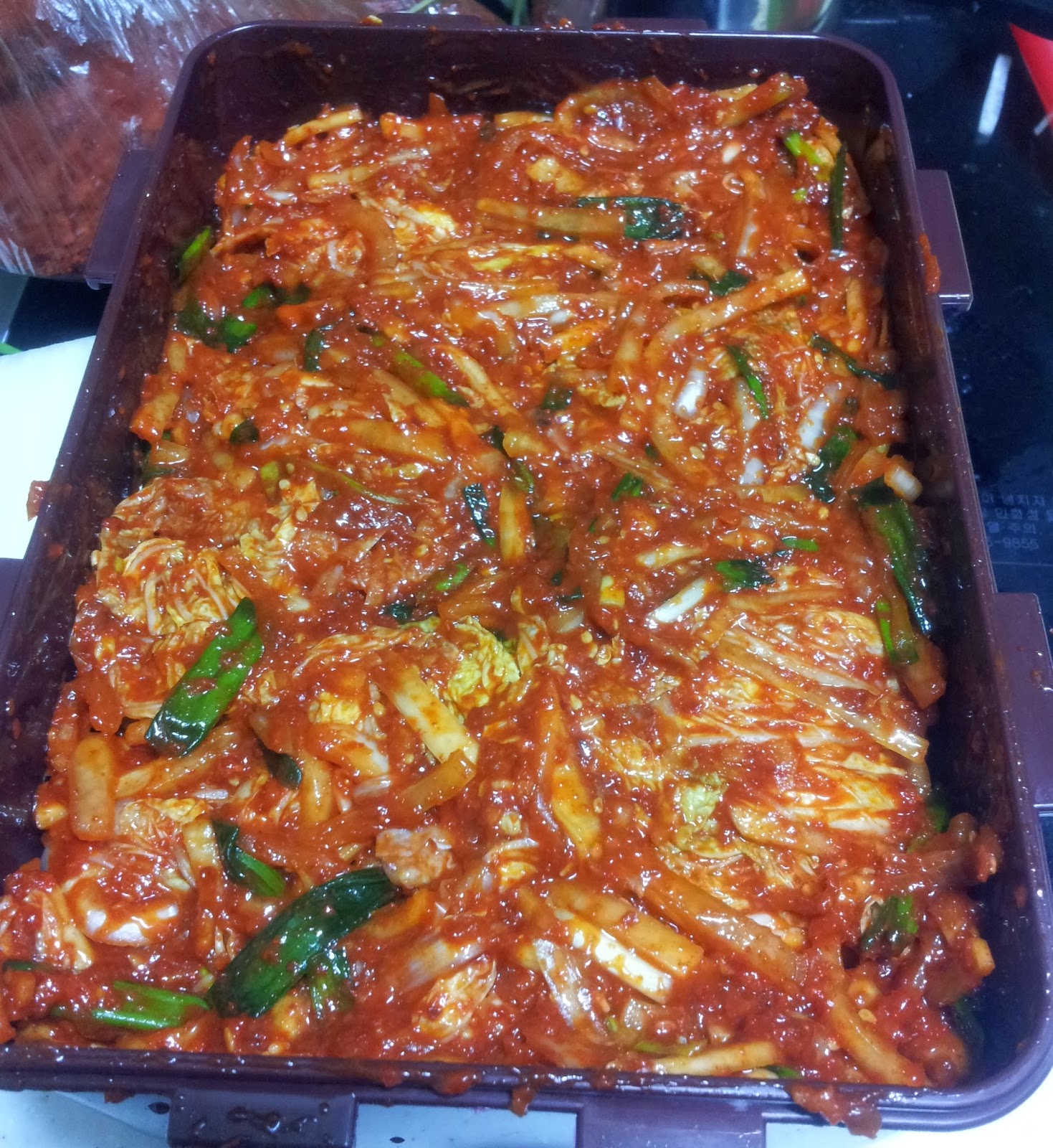 Quer aprender a cozinhar? Coreia: Faça seu kimchi!