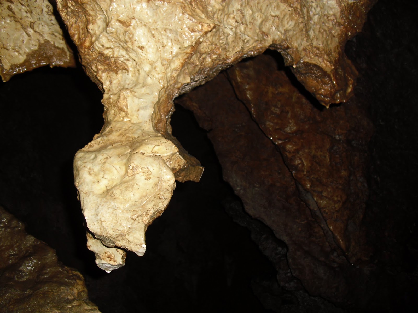 Travel NC With Kids: Linville Caverns – Enjoy North Carolina's Only ...