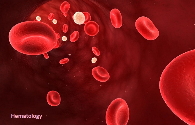 Hematologist in Dhaka - Specialist Doctor List