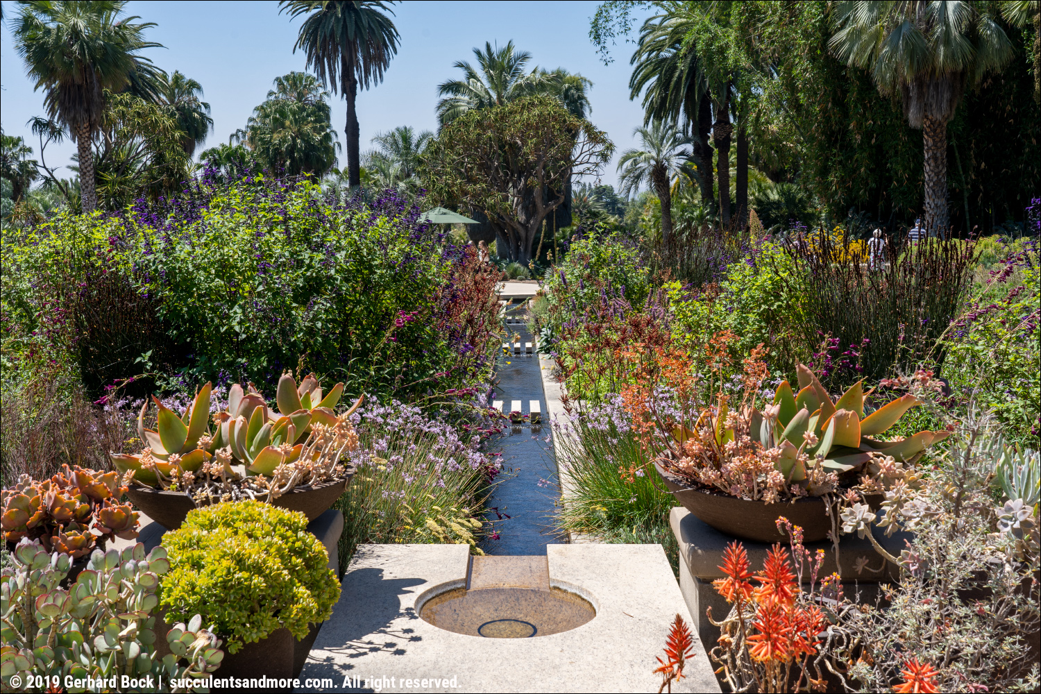 Huntington Botanical Gardens: much more than succulents