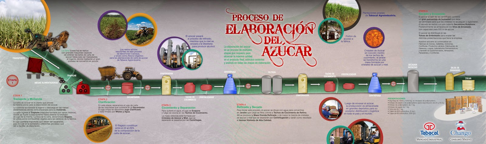 Aprendemos juntos: Circuito productivo del azúcar 2