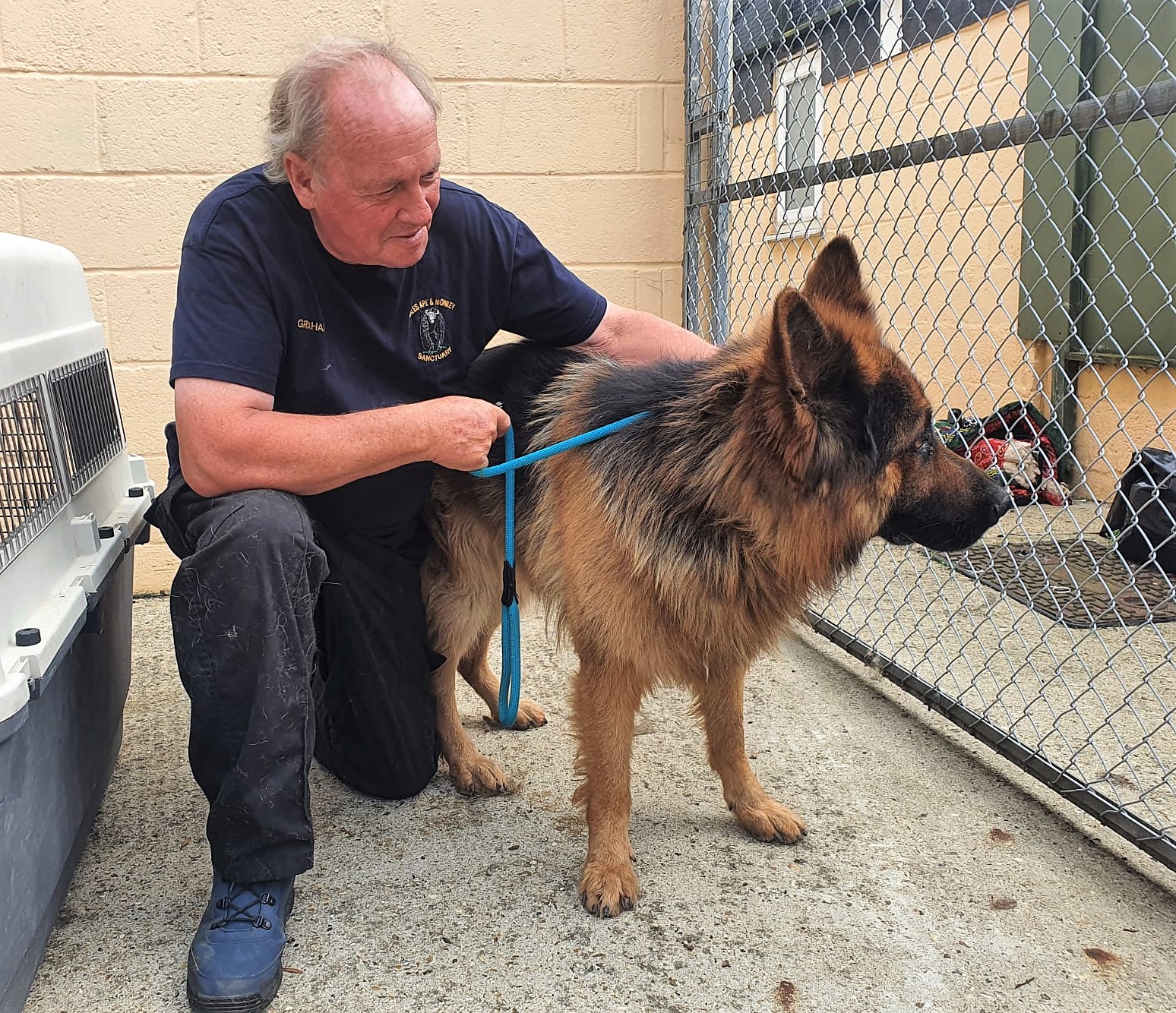 Cat Chit Chat: First pictures of Mr Farthing's animals in the UK at a ...