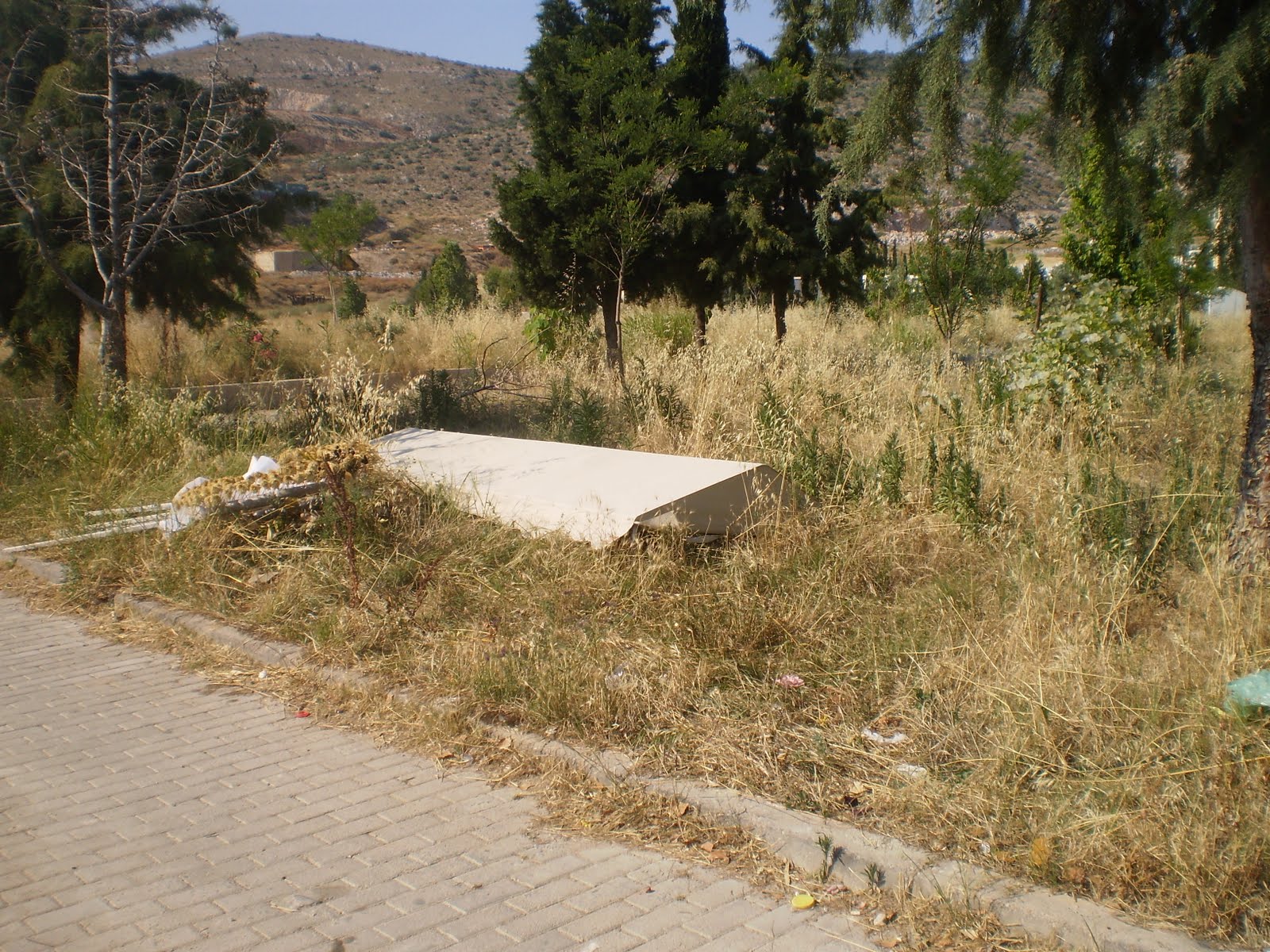 ΚΑΙ ΝΕΚΡΟΥΣ ΑΝΑΣΤΑΙΝΕΙ....