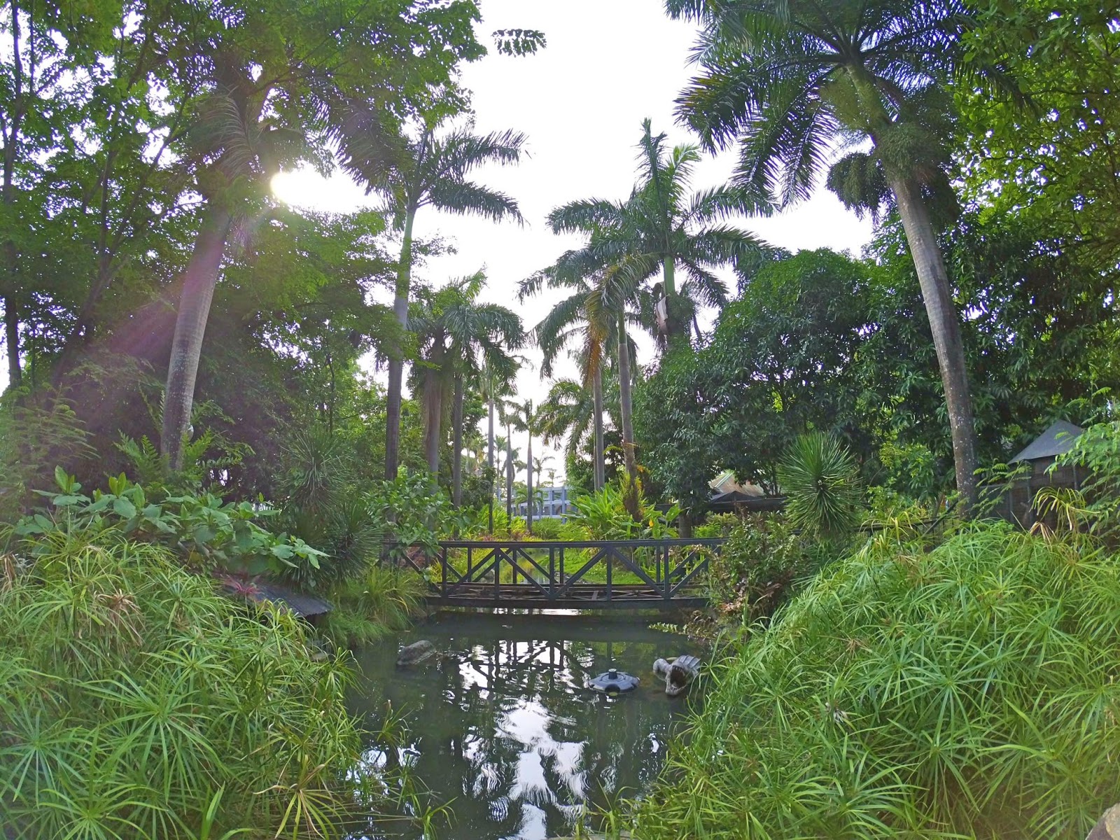 PASIG: Rainforest Adventure Experience (RAVE) - It's More Fun With Juan