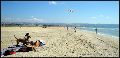 .: Picnic on the Beach in Sour