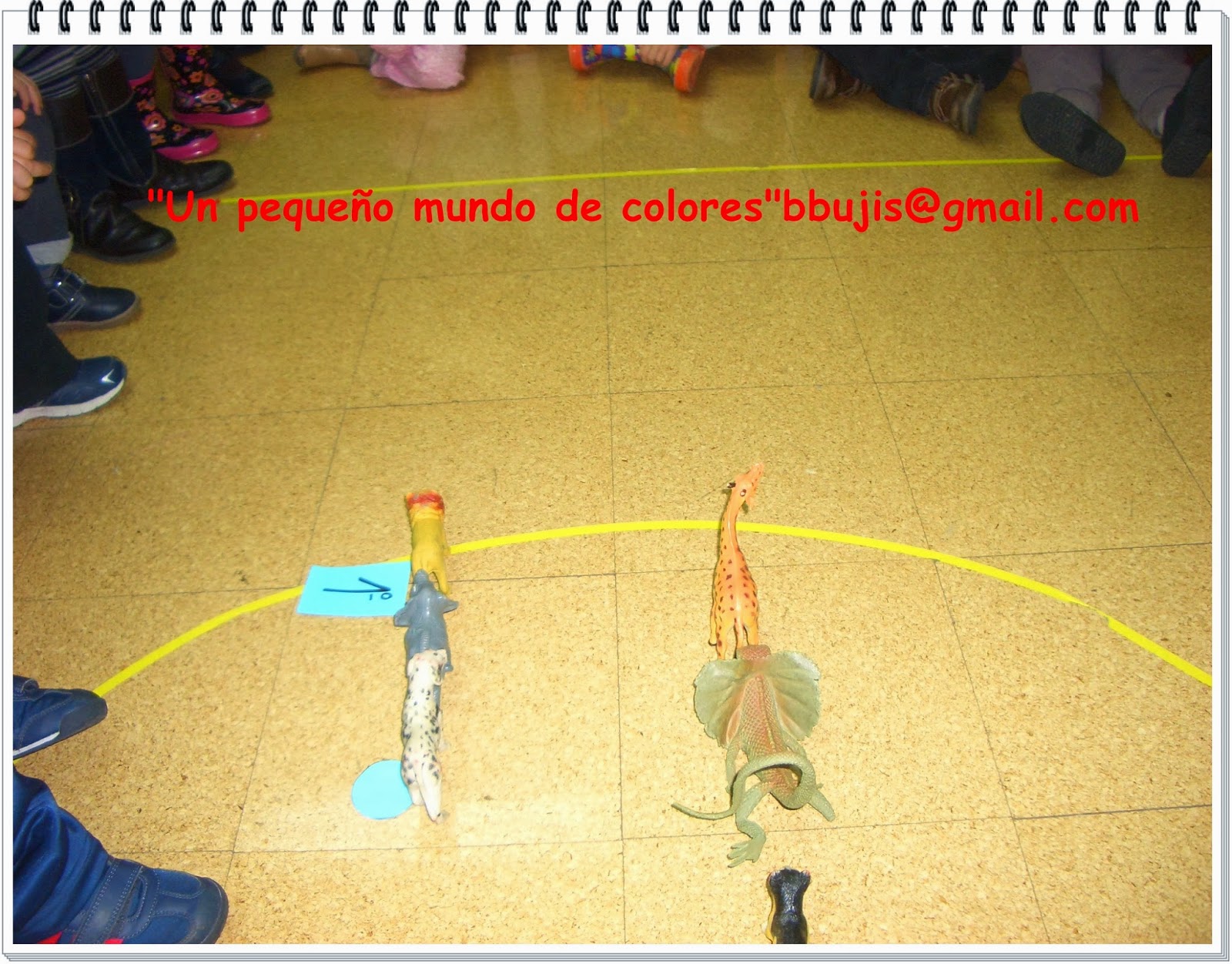 UN PEQUEÑO MUNDO DE COLORES: Conceptos: Primero y último