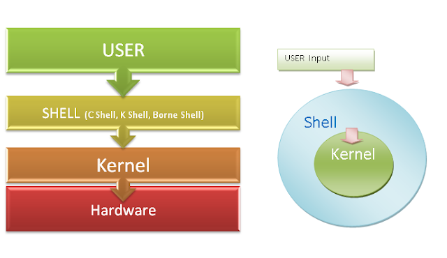 La Shell y el Kernel