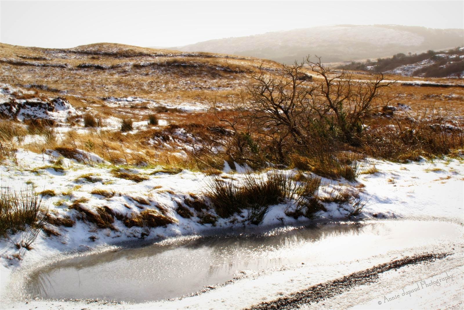 POSTCARDS FROM IRELAND: March snow in Connemara