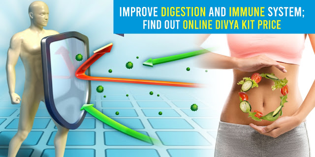 A Natural Method For a Healthy Lifestyle: Ayurvedic Divya Kit