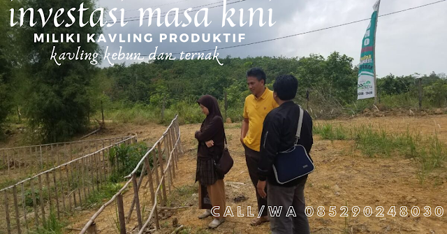 Kavling Kebun Ternak Balikpapan