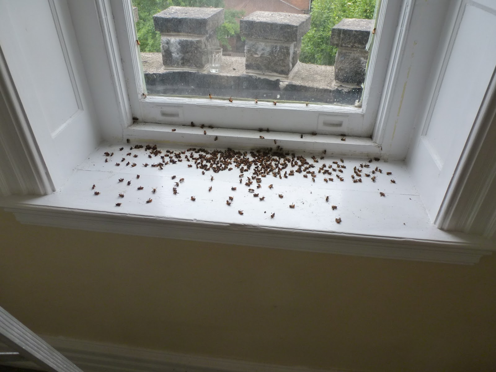 For The Time Beeing: Strange Removals Part II