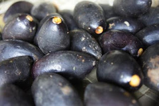 Awesome Bulusan!: Ripe Pili fruit is pure black