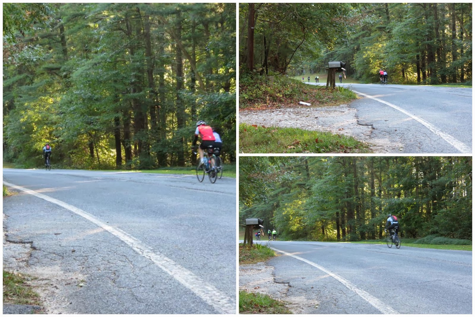 Viewing nature with Eileen: Weekend Walk, Oct 13