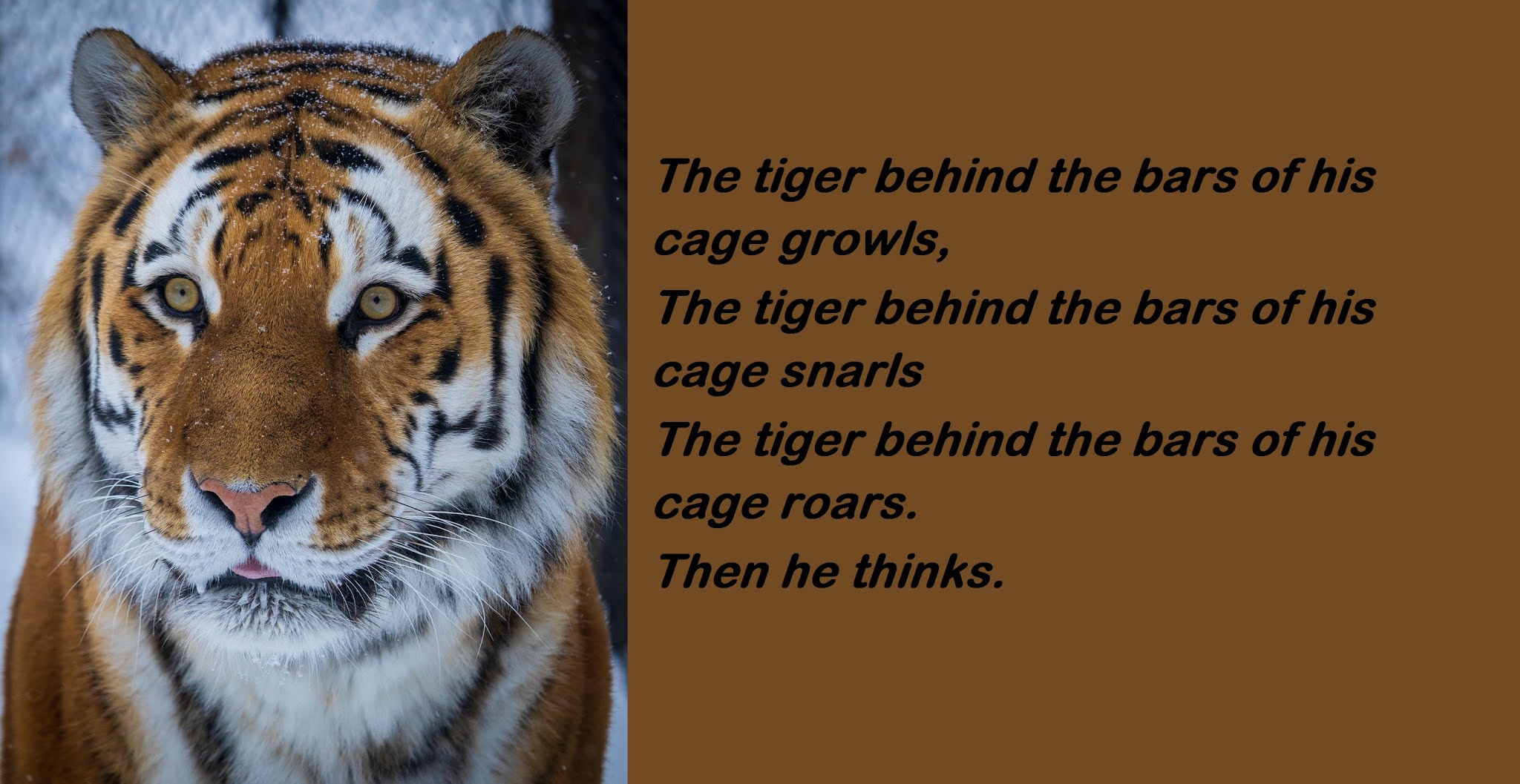 English Notes: Other Tiger Poems