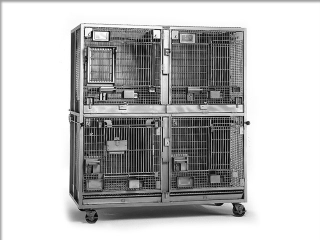 Primate Freedom: The Future of Primate Vivisection