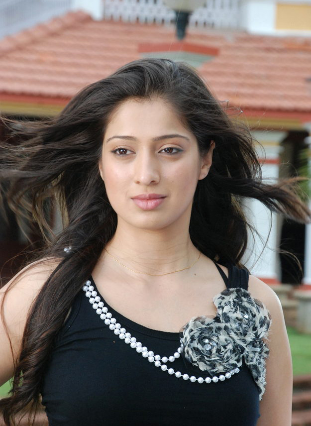 Lakshmi Rai - Wallpapers