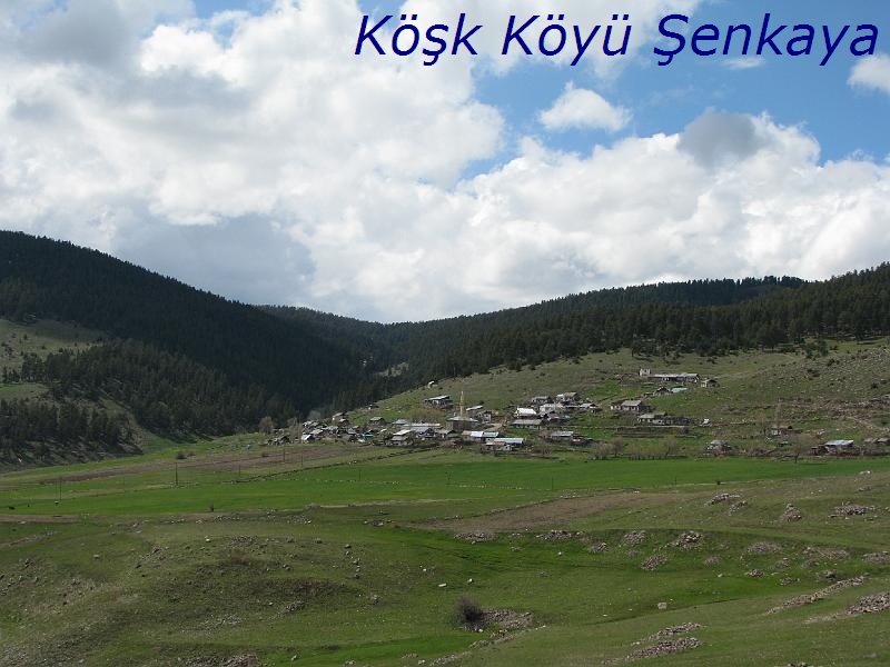 "Her Telden Erzurum ve Erzurumlu": KÖŞK KÖYÜ ŞENKAYA