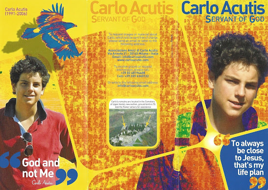 The Eucharistic Miracles of the World & Blessed Carlo Acutis Official ...