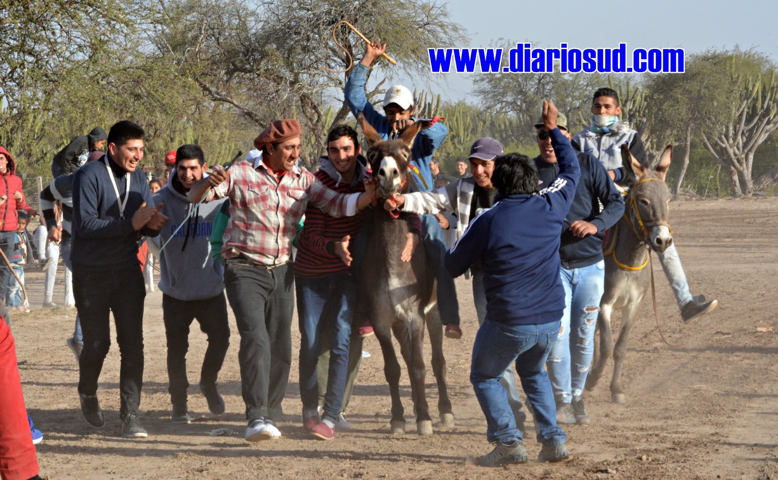 Vaca Human...Hasta el próximo año.