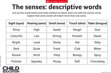 COSAS DE NUESTRA CLASE: SENSES DESCRIPTIVE WORDS