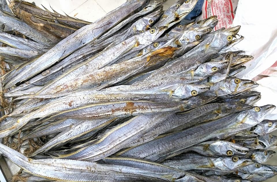 Mohona Organic Jati Churi Dry fish