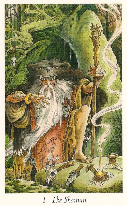 The Tarot Bag: The Shaman