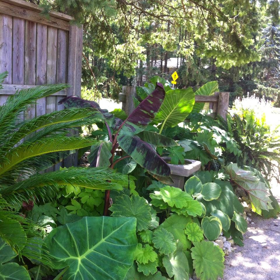 Cedar Spring Nursery: Three Years In | Teza's Hortus Magnificum