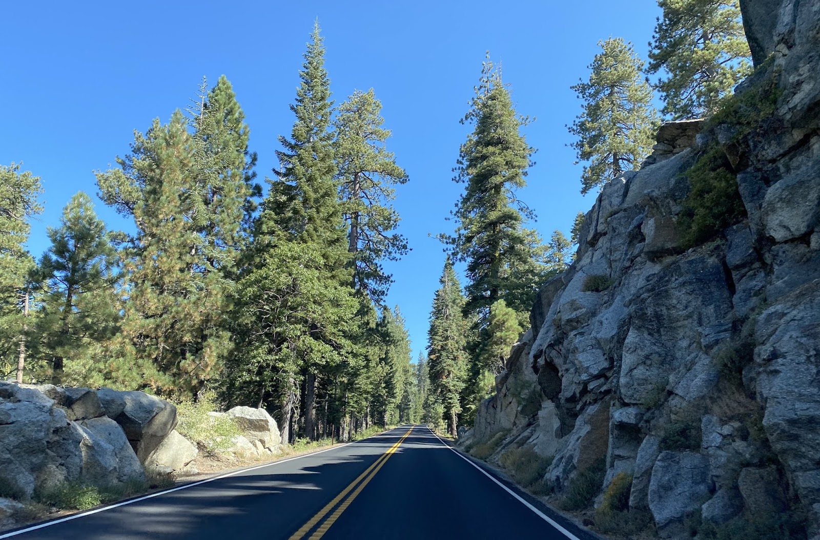 The Tioga Pass Road