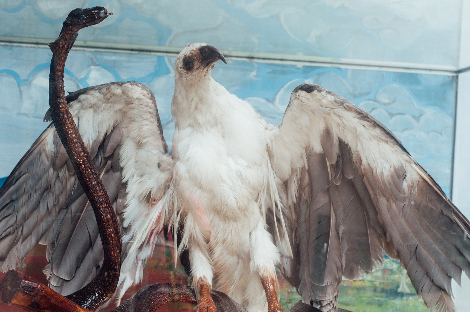 Discover Davao : Davao Crocodile Park - Ochi In The City