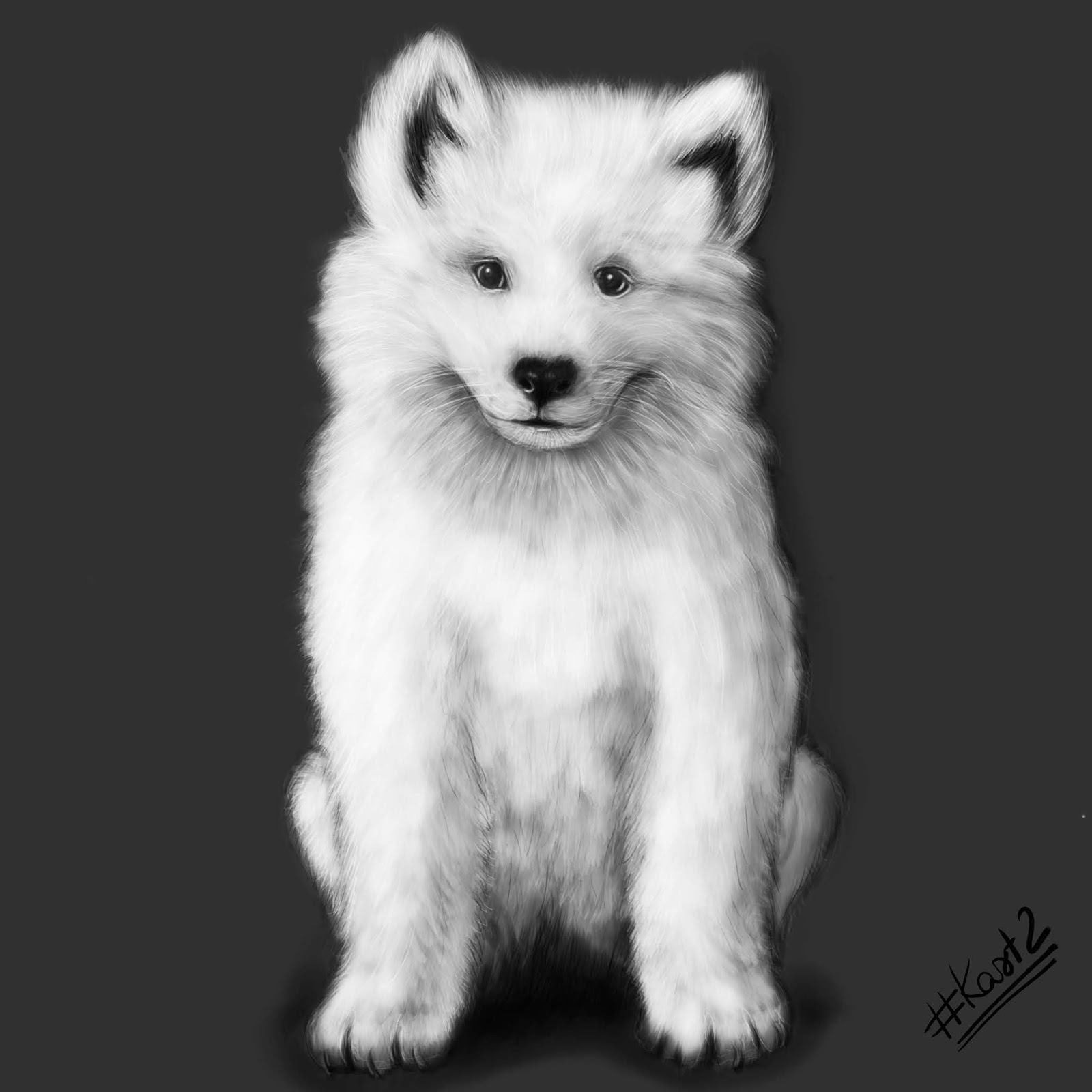 #17 - how to draw a white fluffy dog