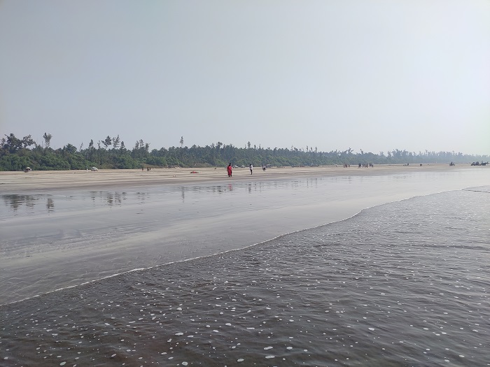 Diveagar Beach Maharashtra - Picnic Spot's Near by Mumbai Maharashtra