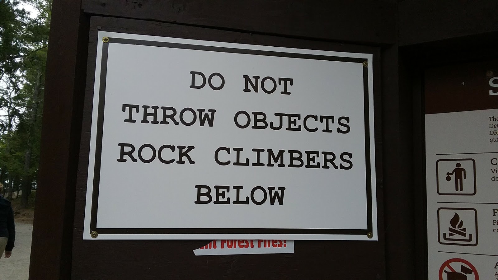 The Awful Things I Endure On Account Of Being Me: DO NOT THROW OBJECTS