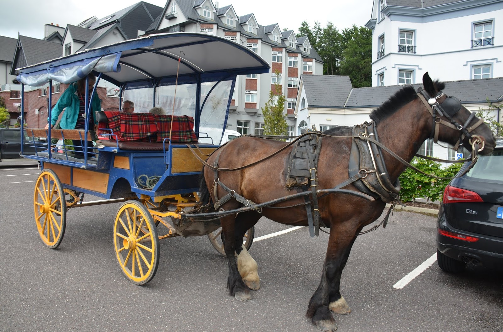 Andra & Steve's Journey: Jaunting Carts, Killarney, Ireland (Friday ...
