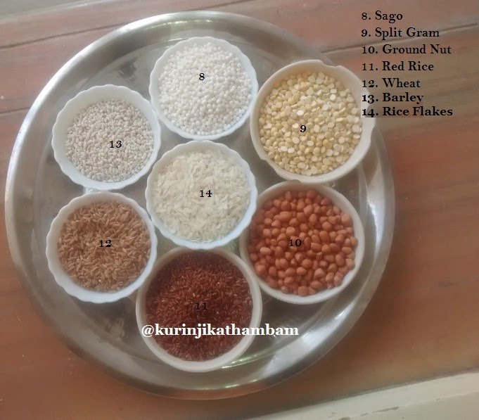 Homemade Health Mix Powder / Sathu Maavu ~ Kurinji Kathambam