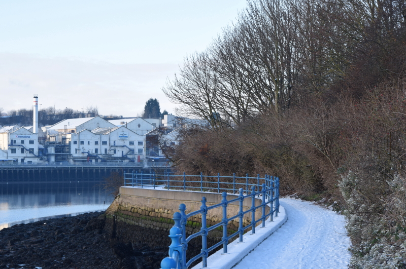 Photographs Of Newcastle: Walker Riverside