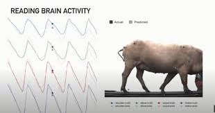 What's Creative?: Neuralink: Elon Musk Working to Make Sci-Fi Ideas a ...