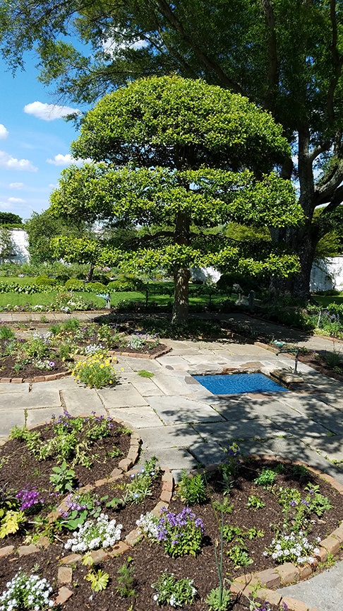 Maza Studio: A Visit to Oak Spring Garden