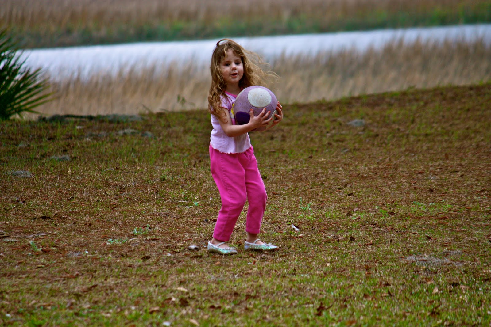 Rob's PE World: Lab 5: A Spectrum of Ball Handling Skills