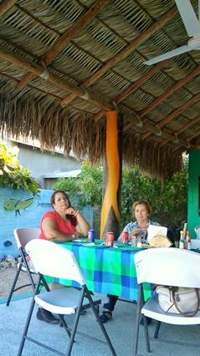 CONOCIENDO EL CARDONAL en BAJA CALIFORNIA SUR