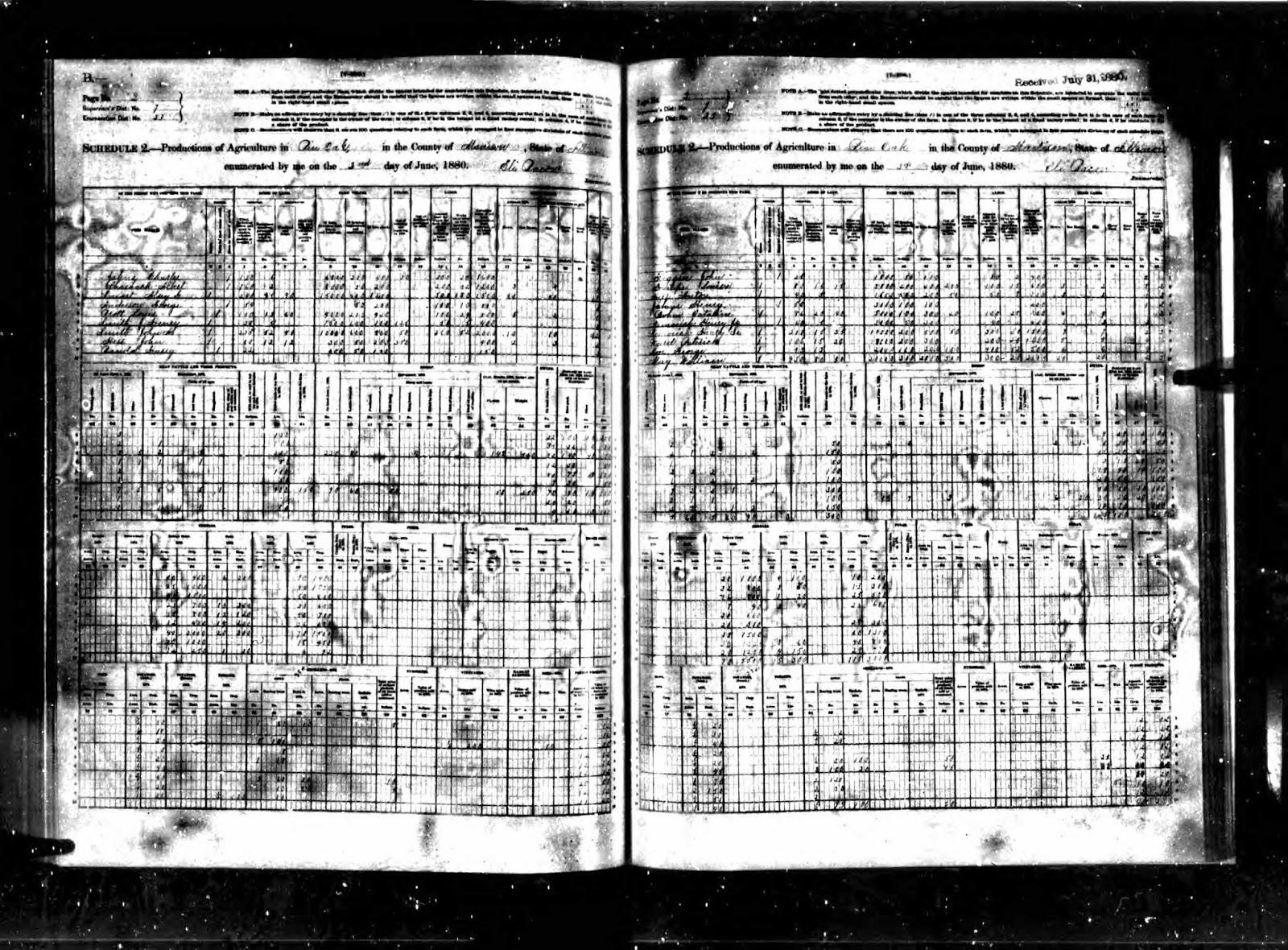 Tangled Roots and Trees: 52 Ancestors #34: John Wesley Riggin's Farm
