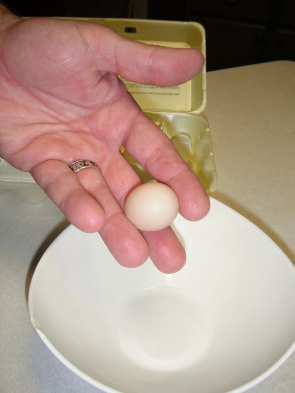 FARM LIFE LESSONS: #62 - PeeWee Cracked Eggs!