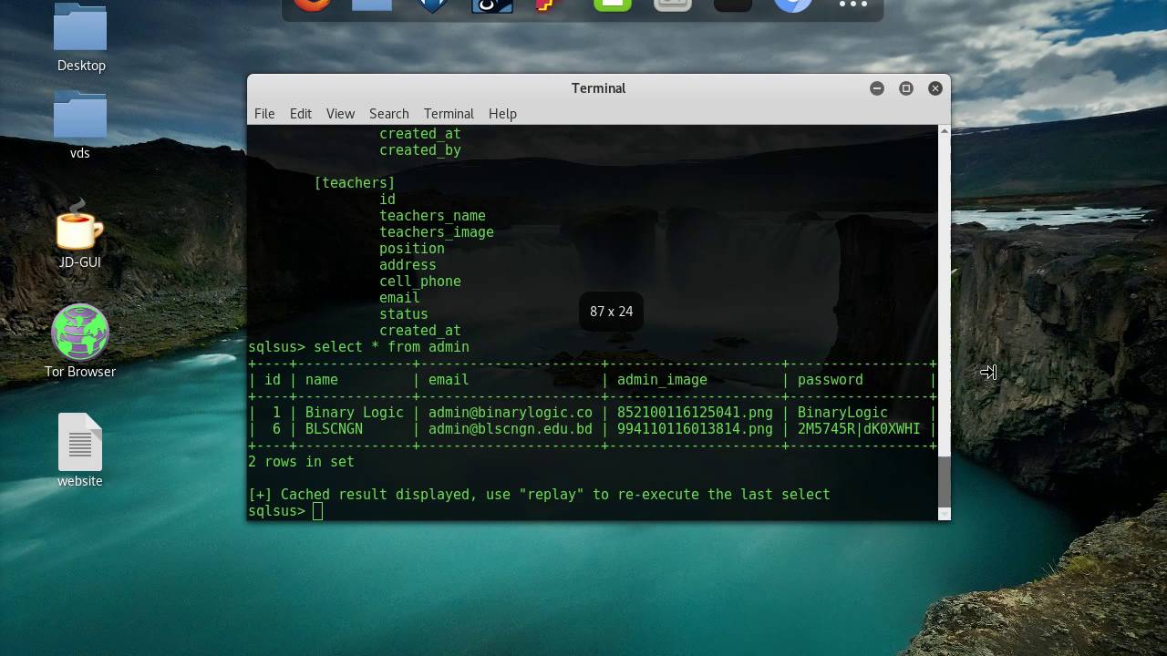 How to install Sqlsus - Linux