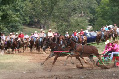 PairADice Mules: Big Mule Race